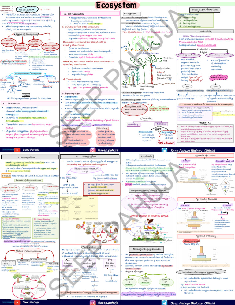 Ecosystem mind maps_watermark | PDF | Ecosystem | Food Web