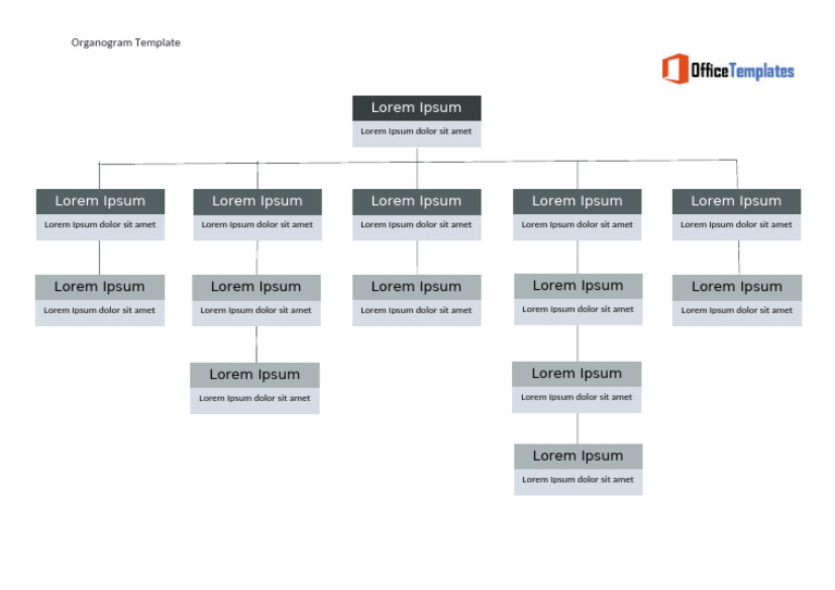 organogram-template-31 | PDF
