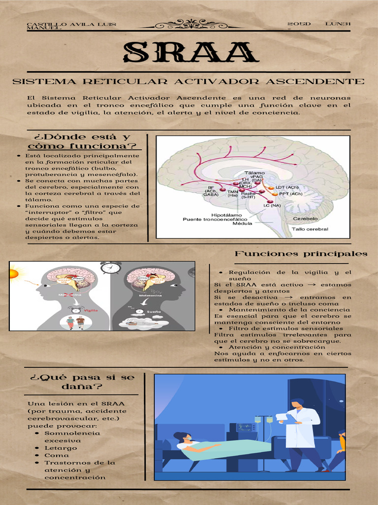SRAA | PDF