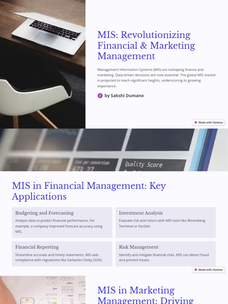 MIS: Transforming Finance & Marketing | PDF | Customer Relationship ...