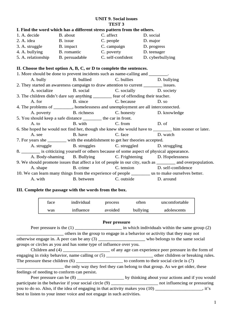 Social Issues Test: Vocabulary & Relationships | PDF | Cyberbullying ...