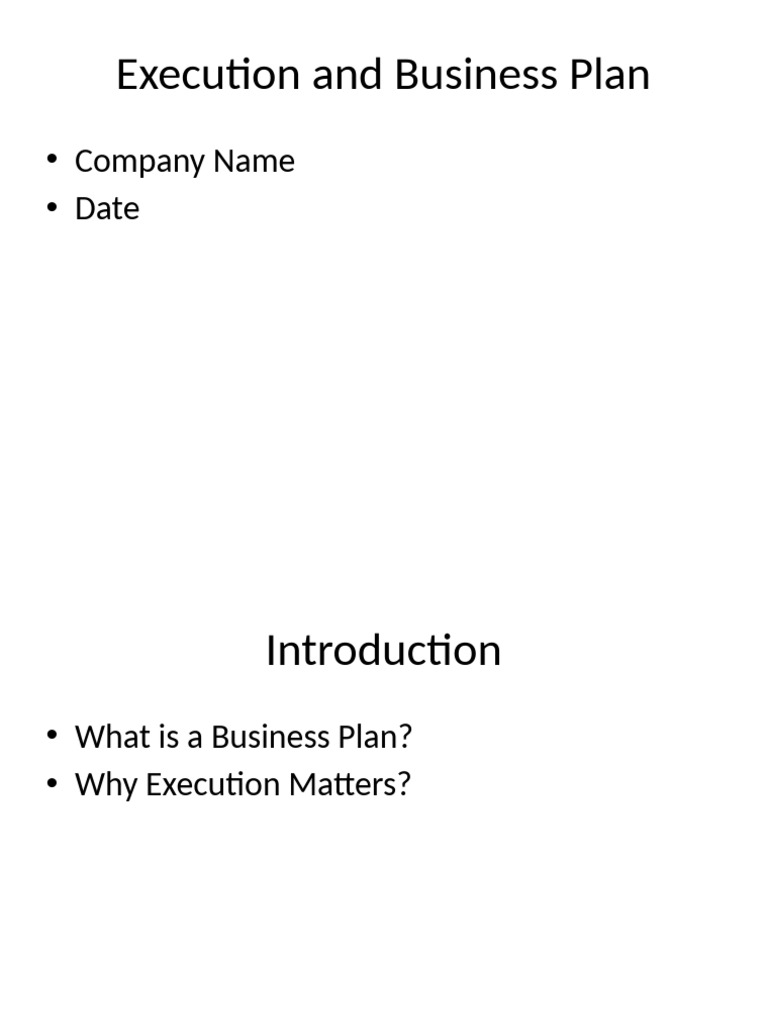 Business Plan Execution Guide | PDF