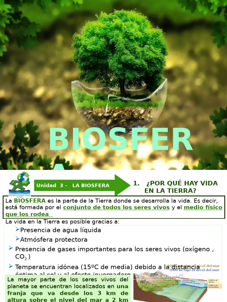 La Biosfera | PDF | Biología Celular) | Cloroplasto