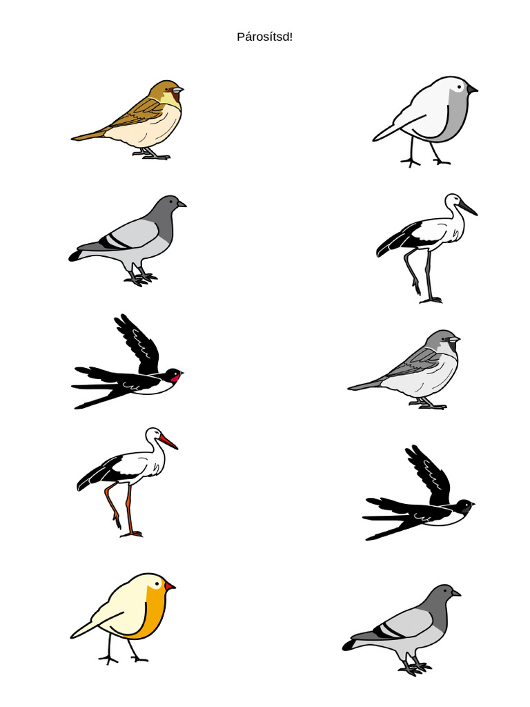 Madár párosító fekete másolata | PDF