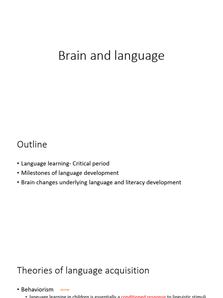 chap 5 brain and language | PDF | Cognitive Psychology | Neuroscience