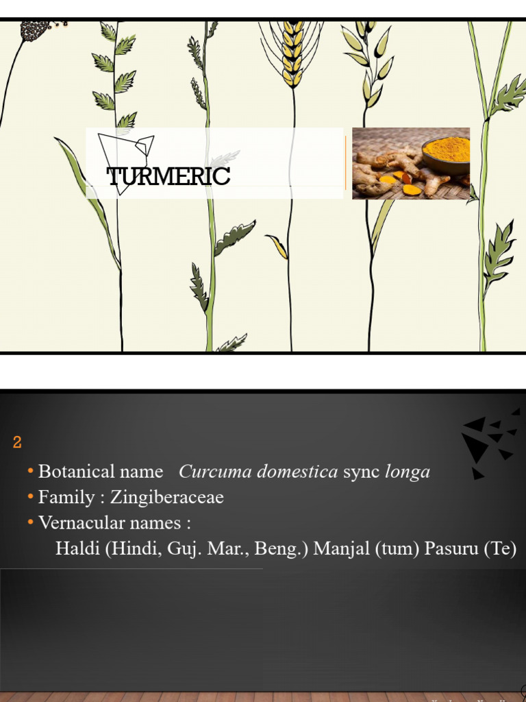 28 Turmaric | PDF | Turmeric