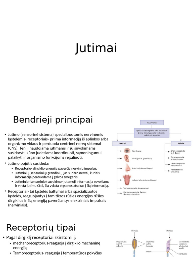 Jutimai (1) | PDF