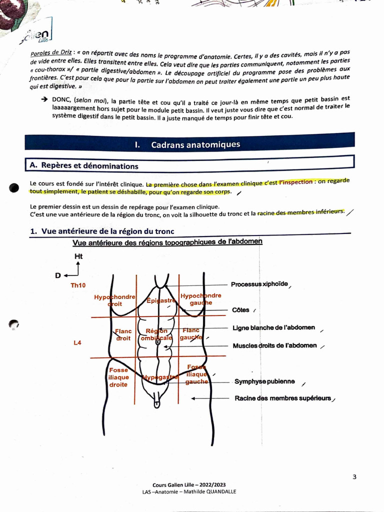 Abdomen Cours 1 Et 2 | PDF