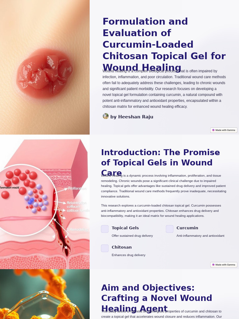 Formulation and Evaluation of Curcumin Loaded Chitosan Topical Gel for Wound Healing (3) | PDF ...