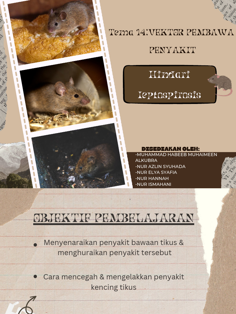 Vektor Pembawa Penyakit Tikus | PDF