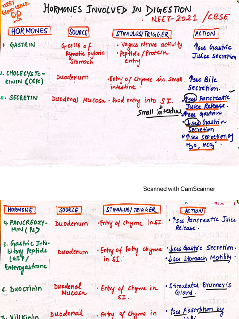Hormones in Digestion Notes PDF | PDF