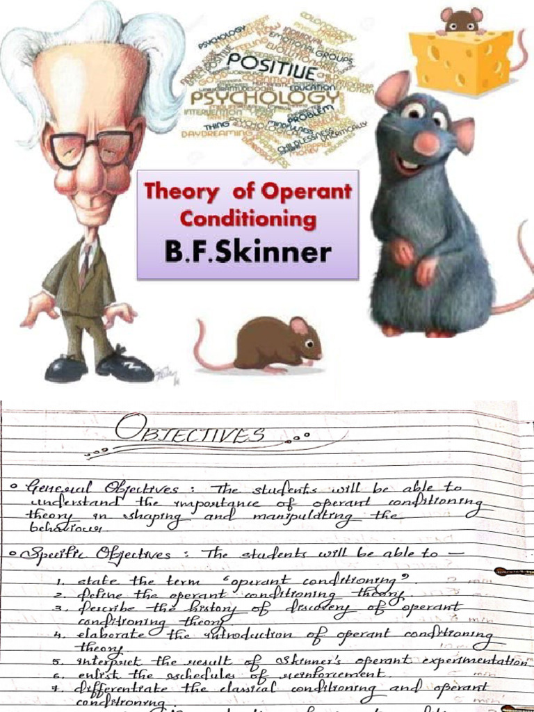Operant Conditioning | PDF
