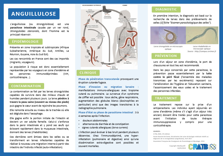 2022 Anguillulose | PDF | Spécialités médicales | Microbiologie