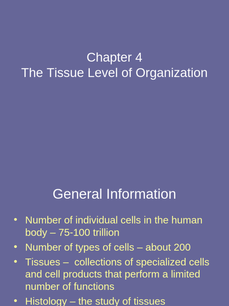 Understanding Human Tissue Types | PDF | Epithelium | Connective Tissue