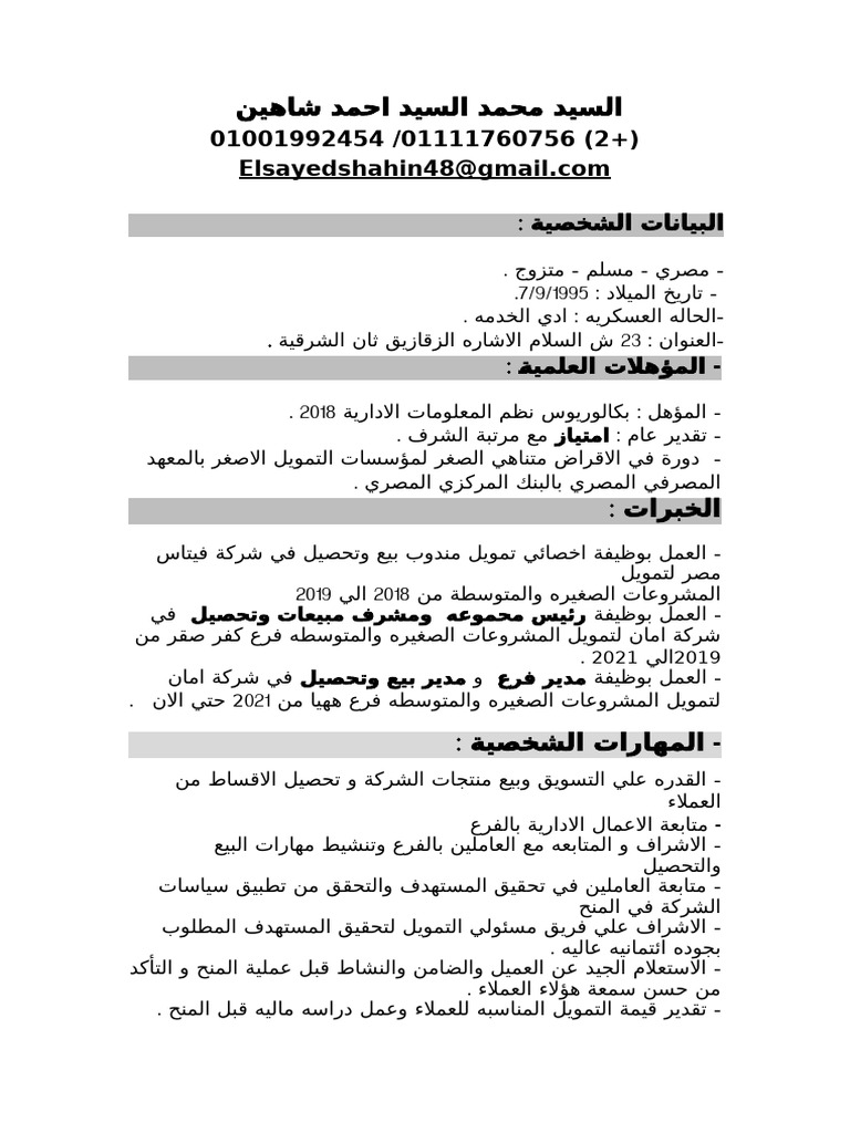 CV 2023 | PDF
