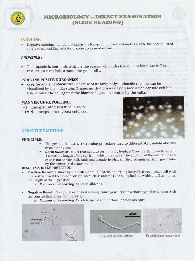 SLIDE-READING in microbiology | PDF | Microbiology | Microscopy
