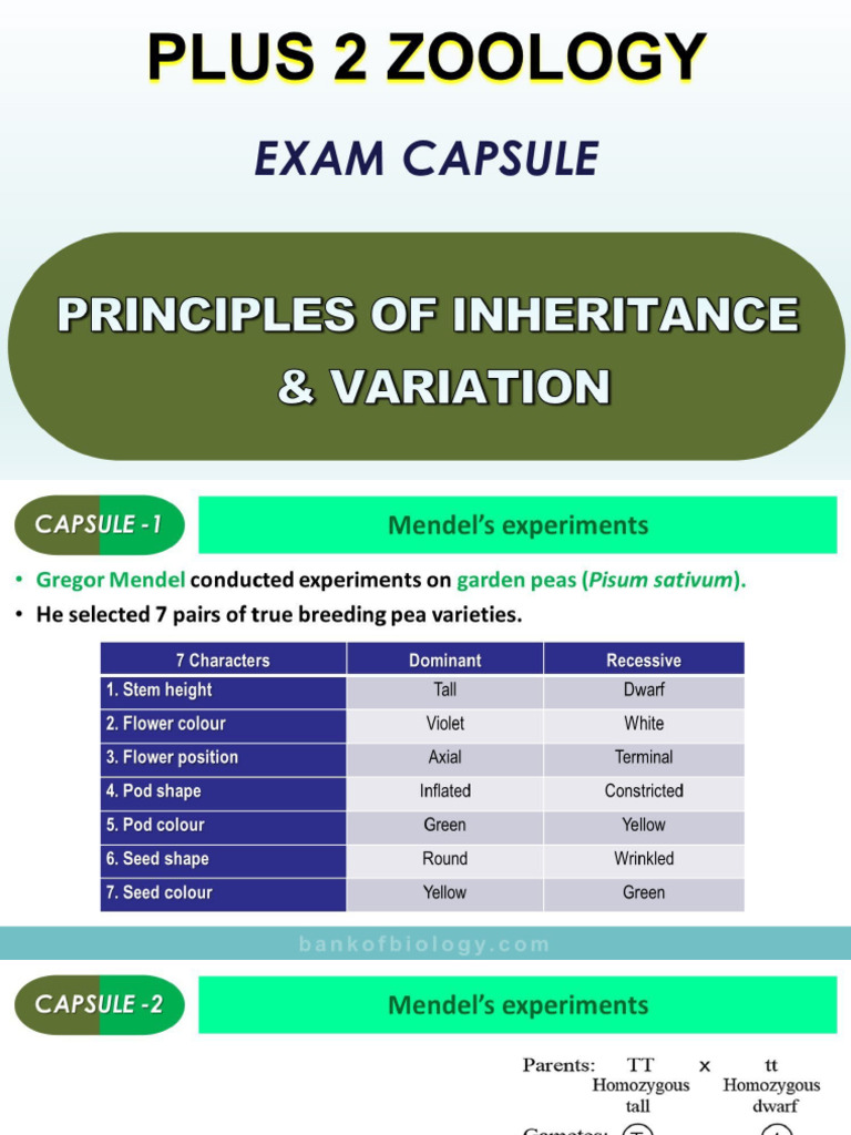 5 Principles of Inheritance N Variation Exam Capsule Pic | PDF