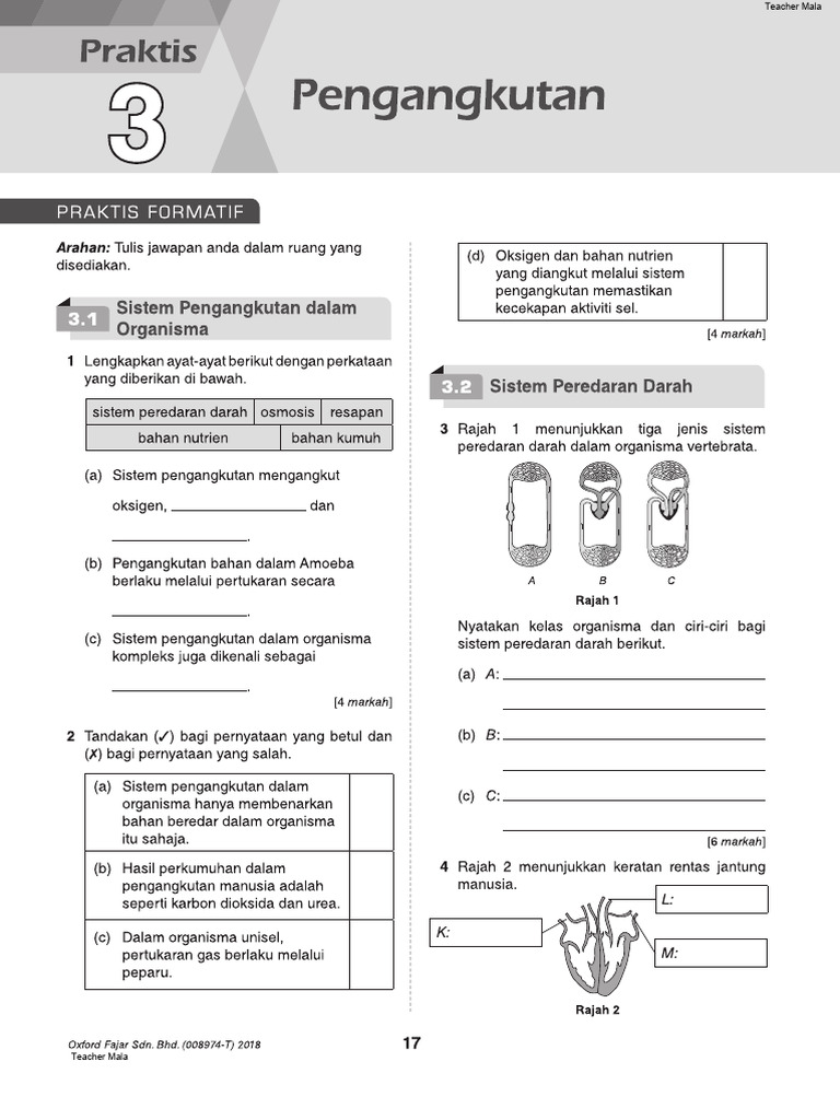 Latihan T3 Sains Bab 3 - 28th Mac 2025 | PDF