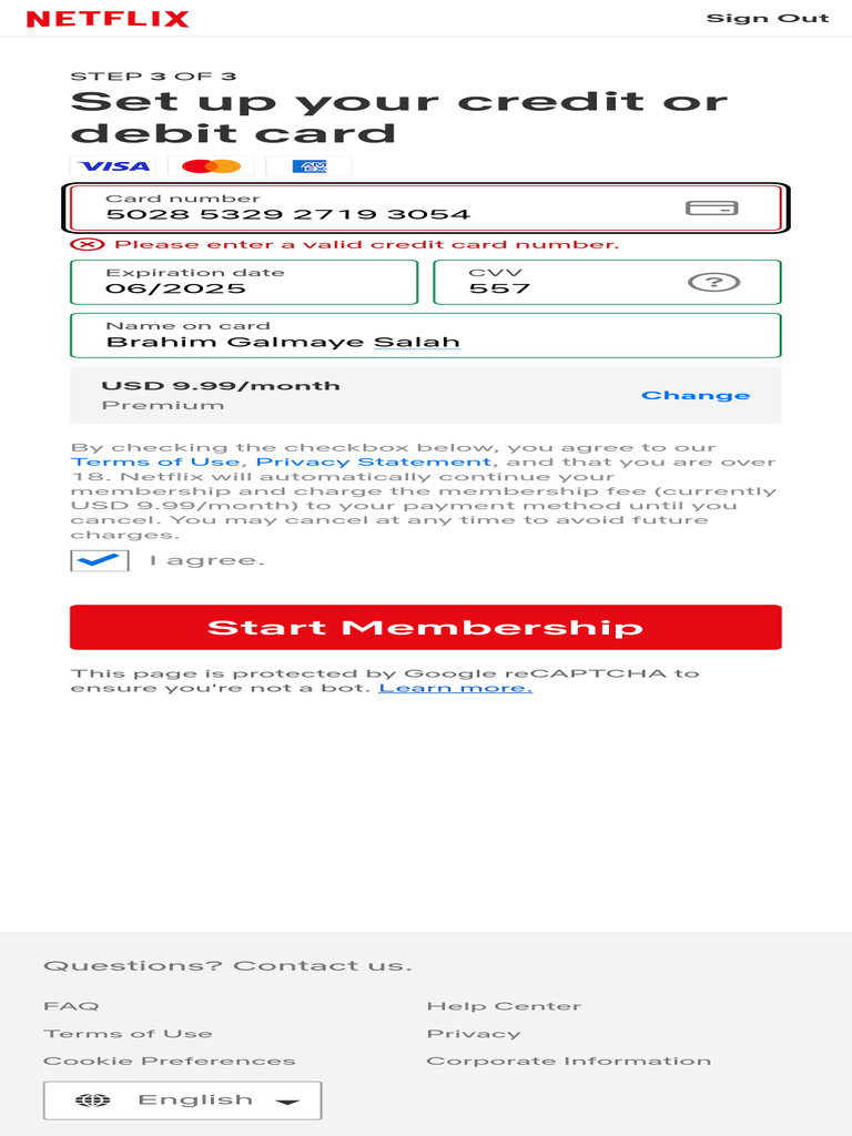 Set Up Netflix Premium Membership | PDF