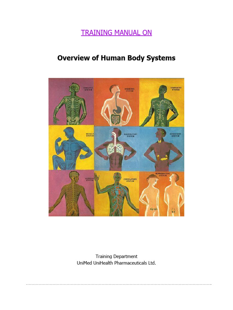 Human Body Systems Training Manual | PDF | Heart | Lung