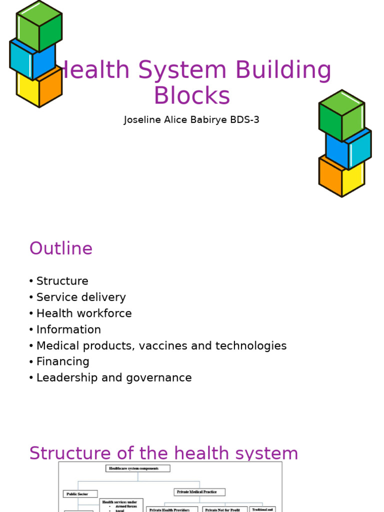 Health System | PDF | Governance | Health Human Resources