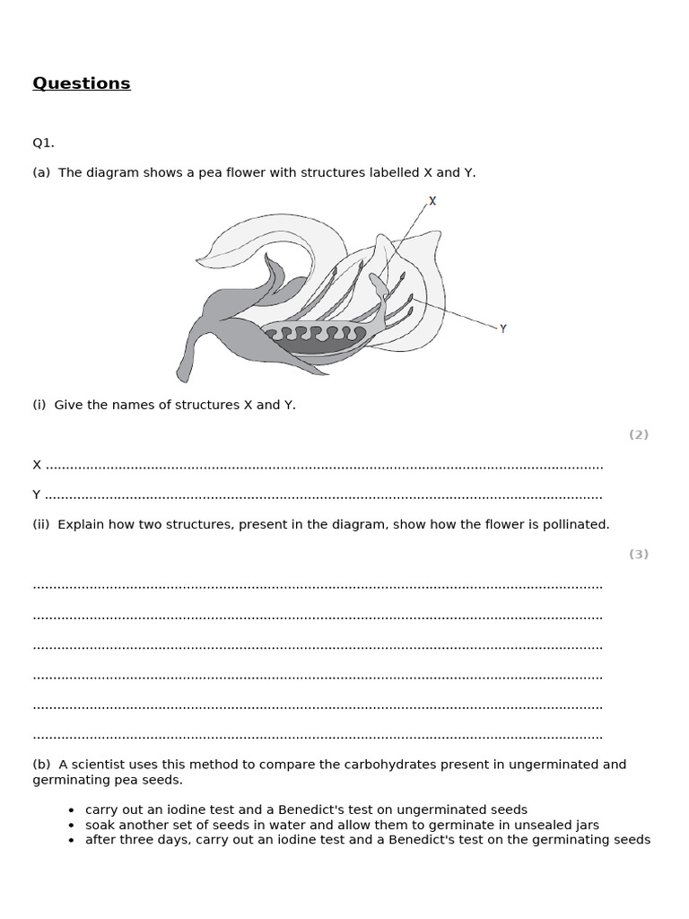 Pea Flower Pollination and Seed Analysis | PDF | Flowers | Pollination