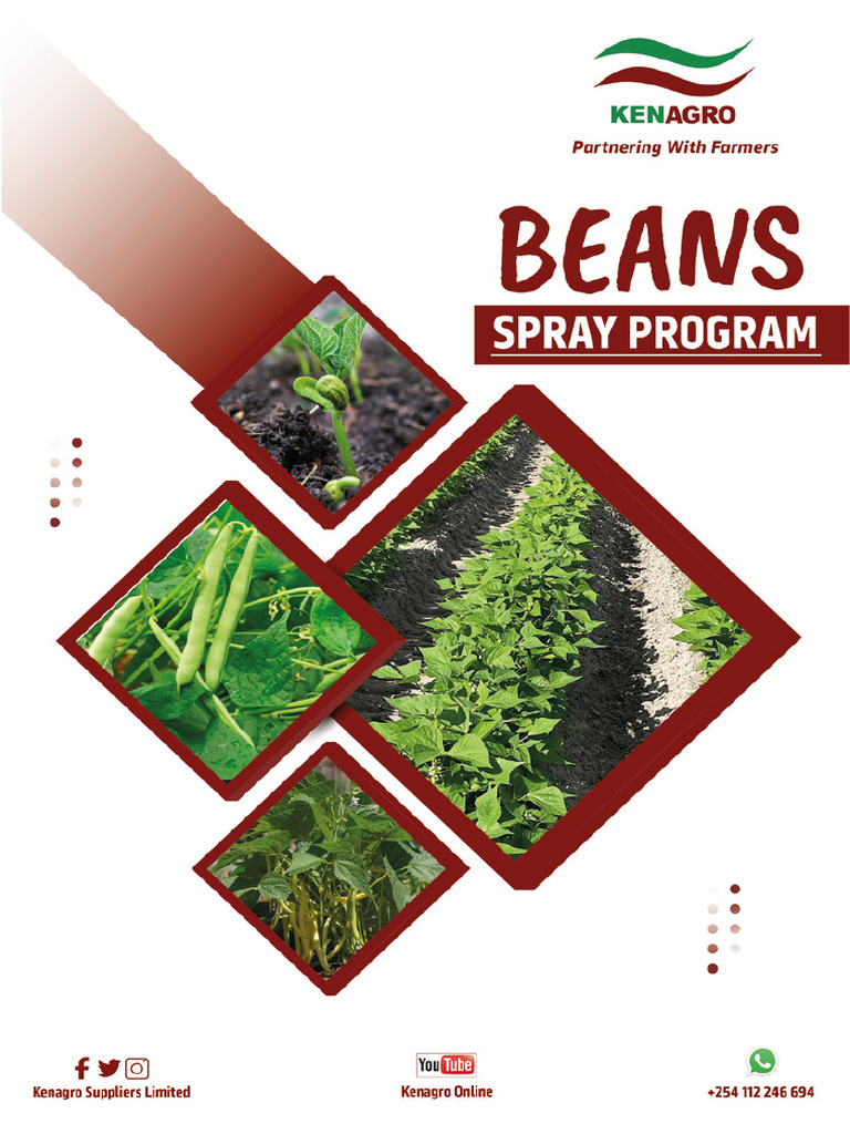Beans Spray Program - Web | PDF