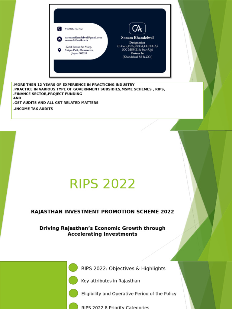 RIPS-2022 | PDF | Subsidy | Small And Medium Sized Enterprises