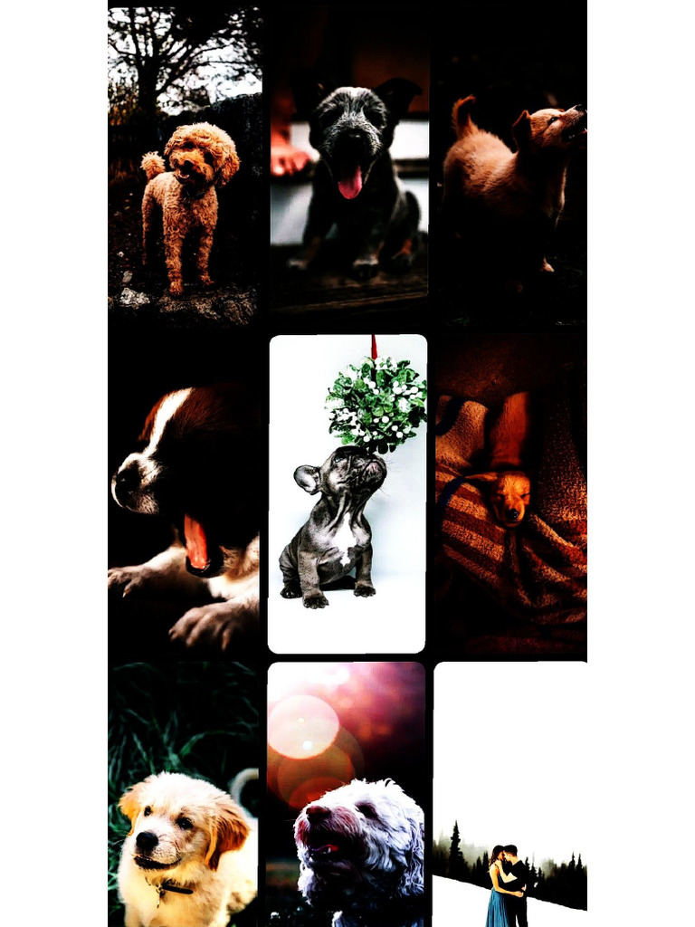 PDFReader 20250408 1918 | PDF