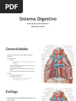 Anatomia das Vísceras Humanas | PDF | Corpo humano | Anatomia