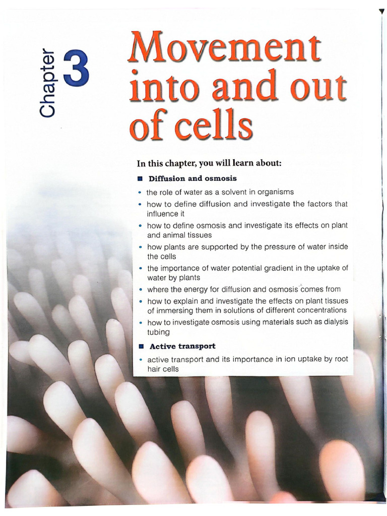 Chapter#3 Movement Into and Out of Cells | PDF