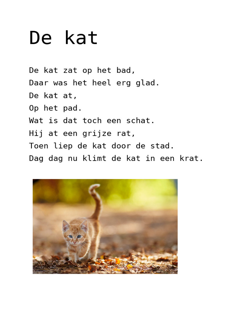 Rijmwoord Kat | PDF