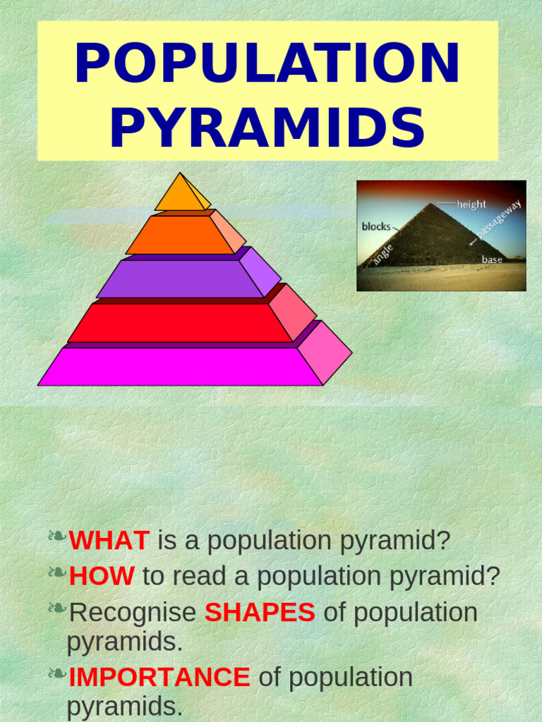 Understanding Population Pyramids | PDF | Birth Rate | Environmental ...