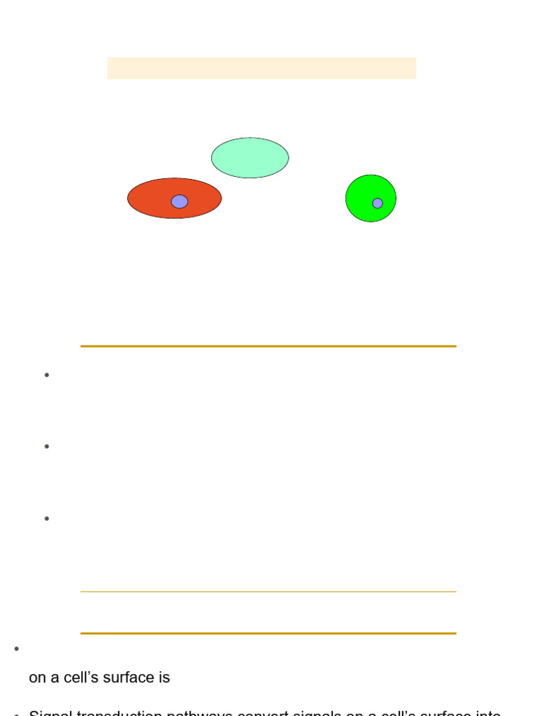 Cell Communication and Signaling Overview | PDF | Cell Signaling ...