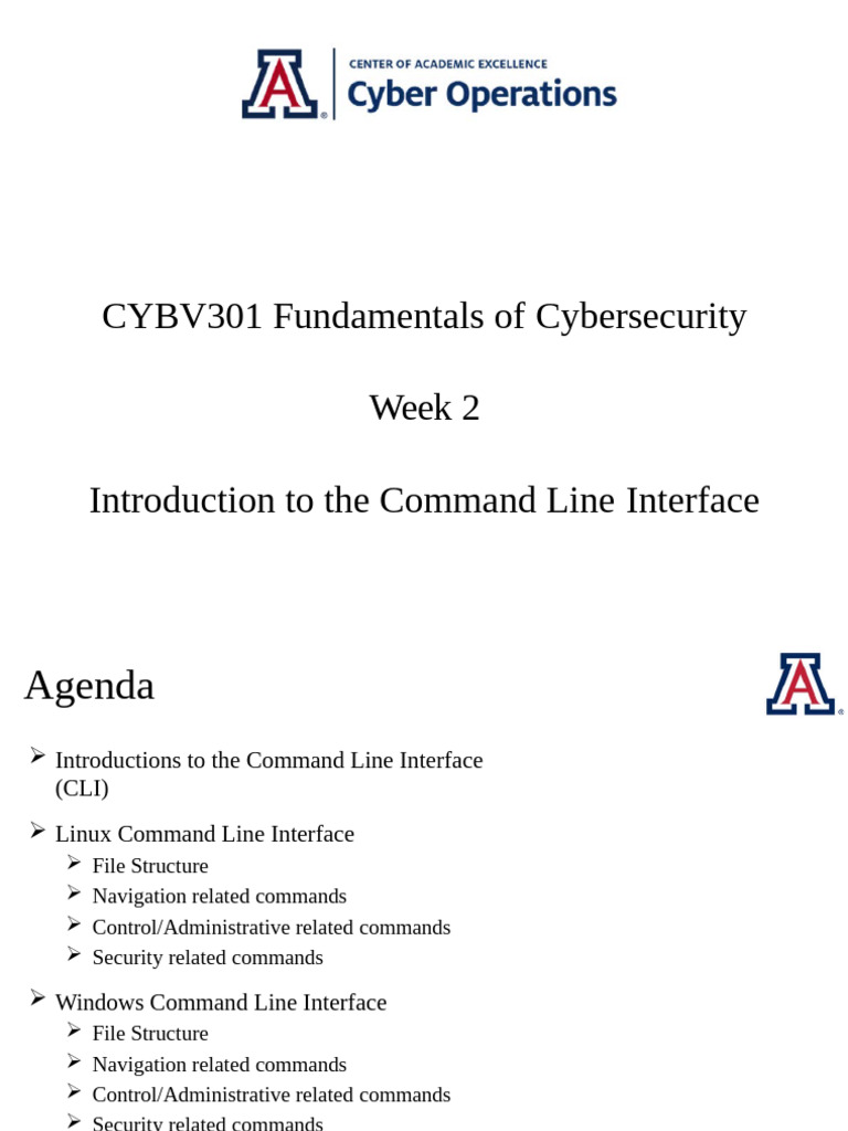 Command Line Interface Basics in Cybersecurity | PDF | Command Line ...