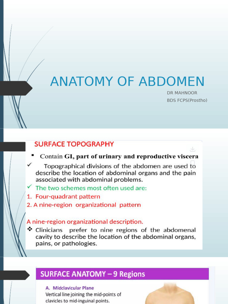 Anatomy of Abdomen (DR Mahnoor) | PDF