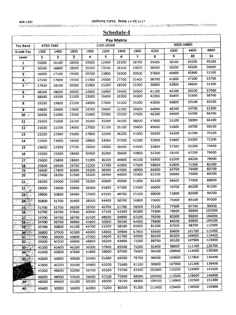 Chhattisgarh 7th Pay Matrix Table PDF | PDF