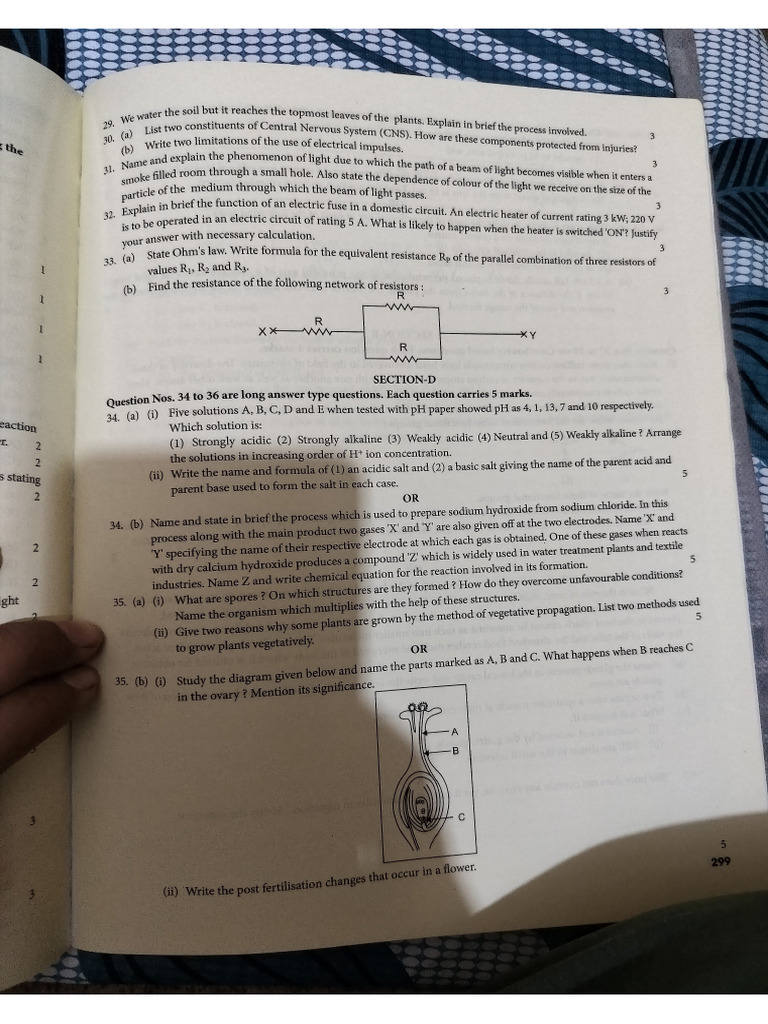 Cbse Class 10th Board Paper 2024 Part 2 | PDF