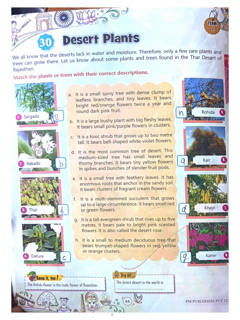 GK Class 6, Term 2 | PDF