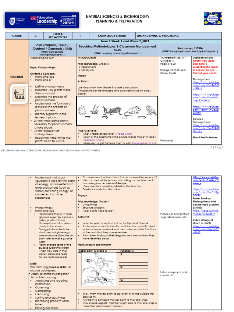 Grade 6 Photosynthesis Lesson Plan | PDF | Photosynthesis | Plants