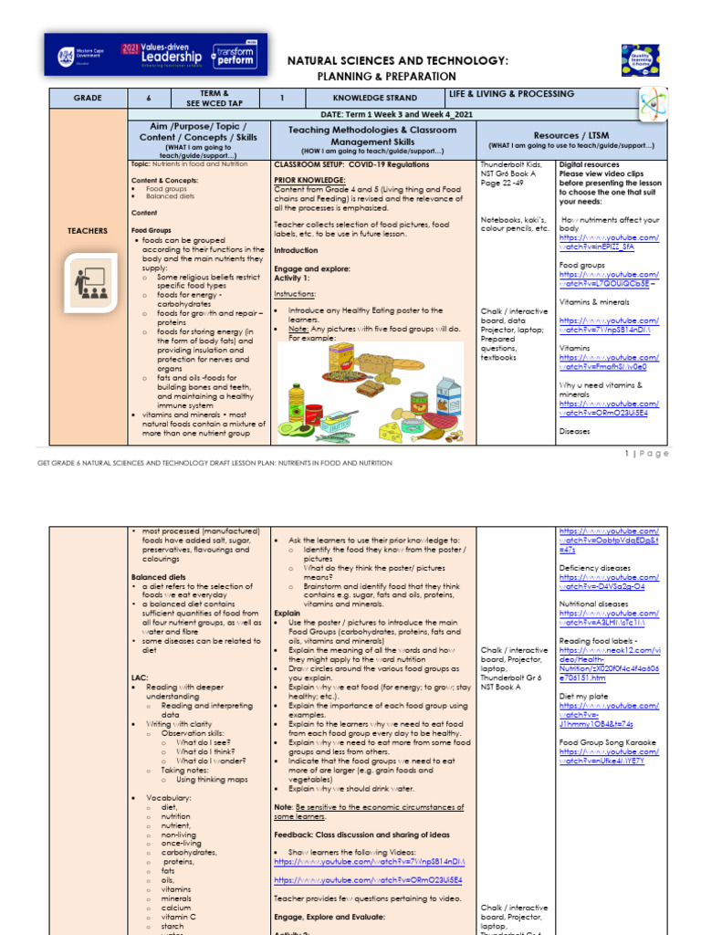 Grade 6 Lesson Plan: Food Nutrients | PDF | Foods | Nutrition
