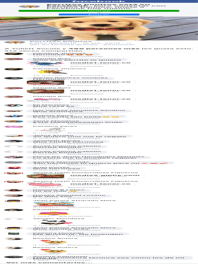 Perritos Bonitos Ha Actualizado Su Foto... - Perritos Bonitos | PDF