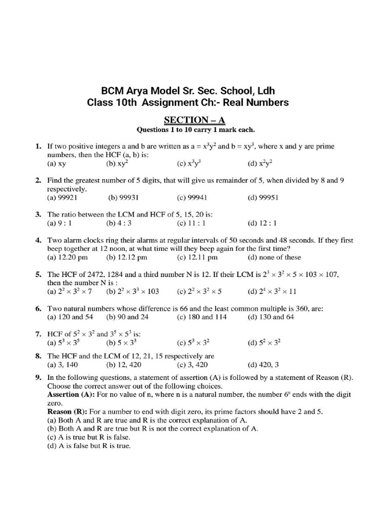 Maths Class X Chapter 01 Real Numbers Practice Paper 01 | PDF
