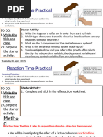 AQA GCSE Reaction Time Practical Guide | PDF
