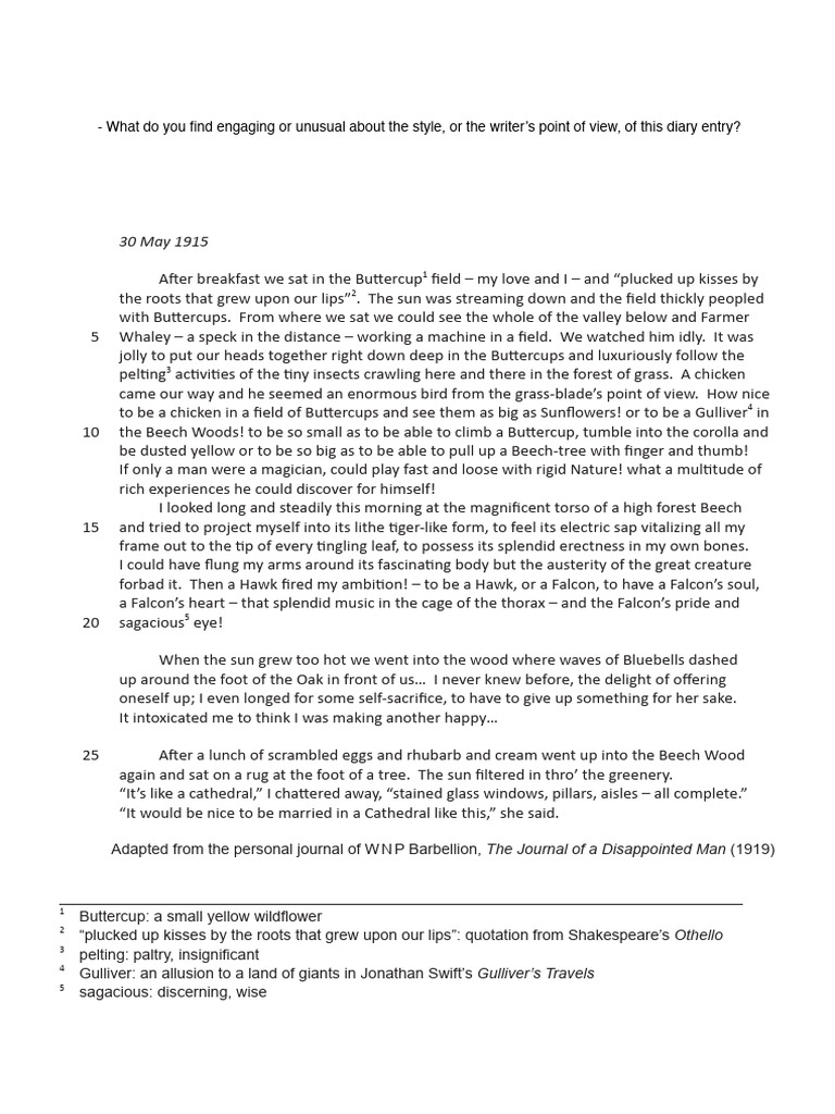 Diary of A Disappointed Man | PDF