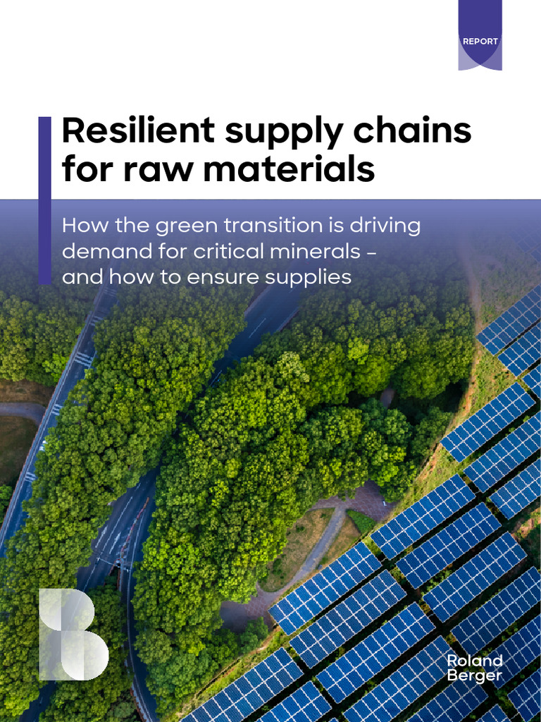 RB-Critical Raw Materials | PDF | Lithium Ion Battery | Electric Vehicle