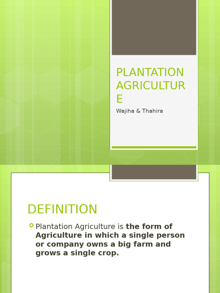 Plantation Agriculture | PDF