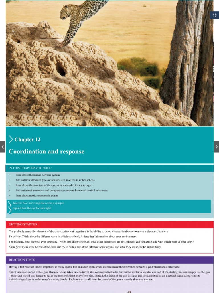 Biology IGCSE - Chapter - 12 | PDF