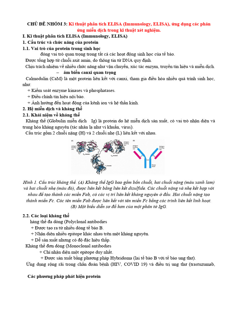 Immunology, ELISA | PDF