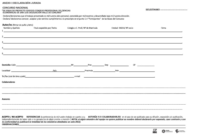 Anexo II Declaracion Jurada 1 | PDF